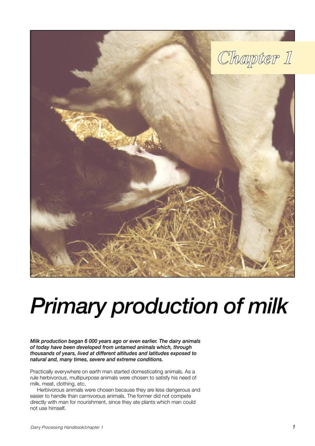 Dairy Processing Handbook.pdf