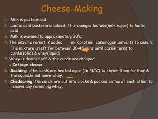 Dairy Products.ppt good | PPT