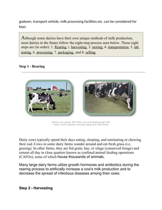 Dairy project | PDF
