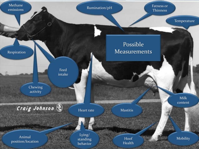 Potential for New Dairy Cattle Phenotypic Data from Automated ...