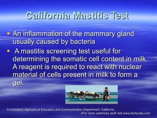 Dairy terminology | PPS
