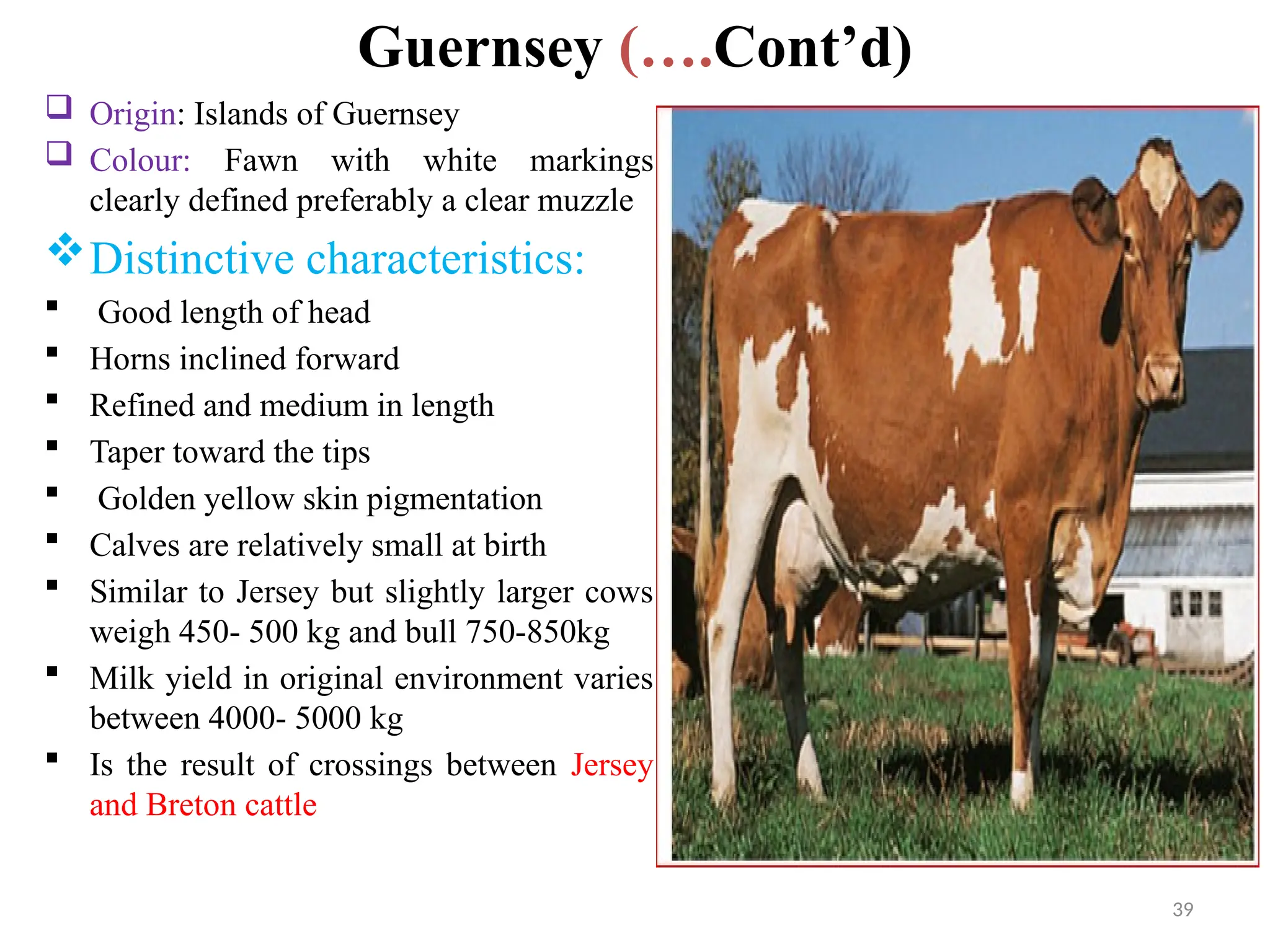 dairy cattle production tutor (chapter 1 & 2.pptx