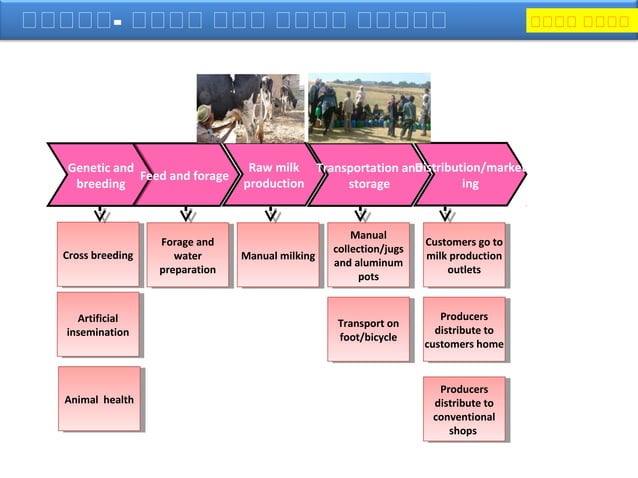 Dairyvaluechain main | PPT
