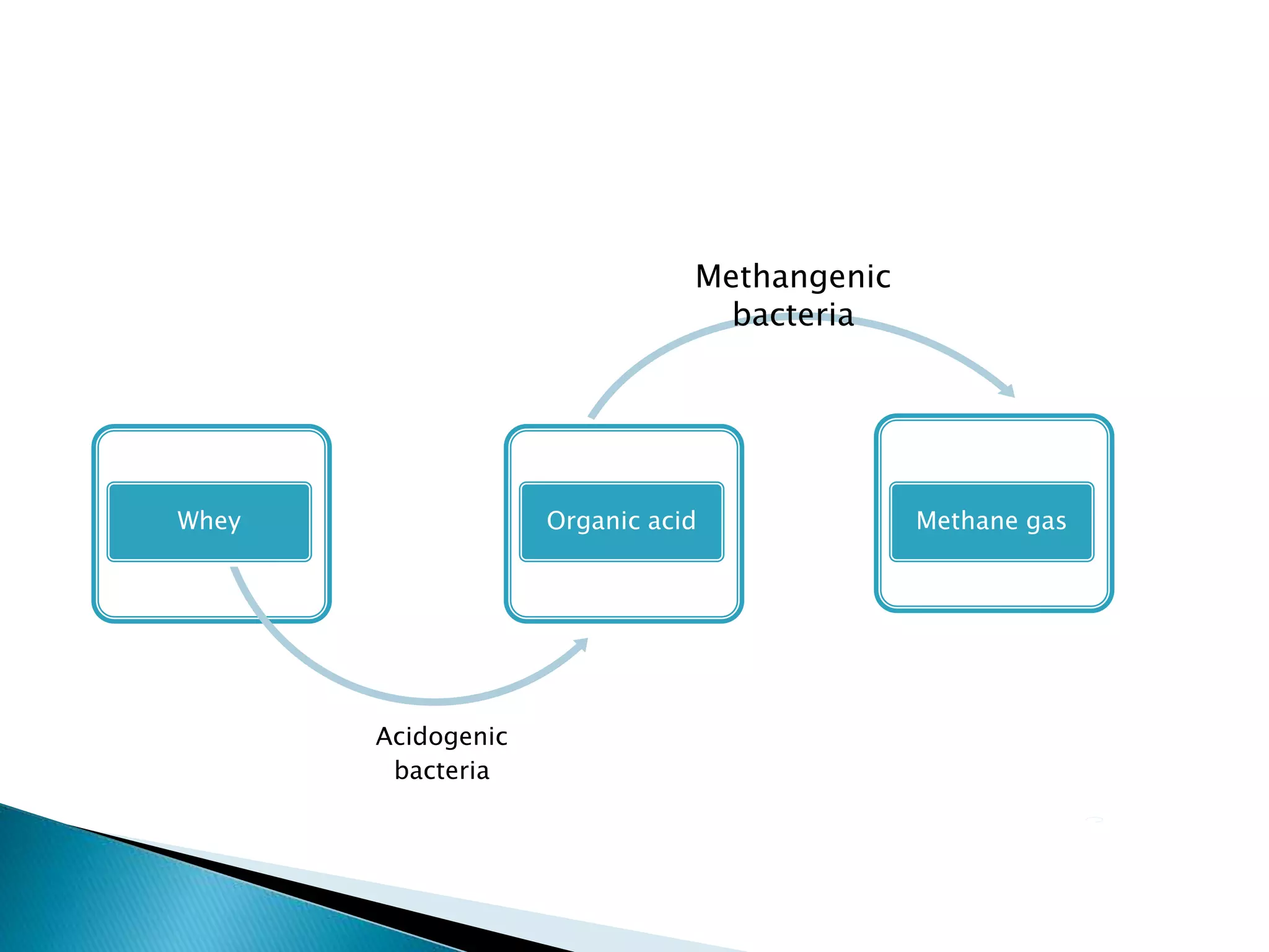 Dairy waste management | PPT