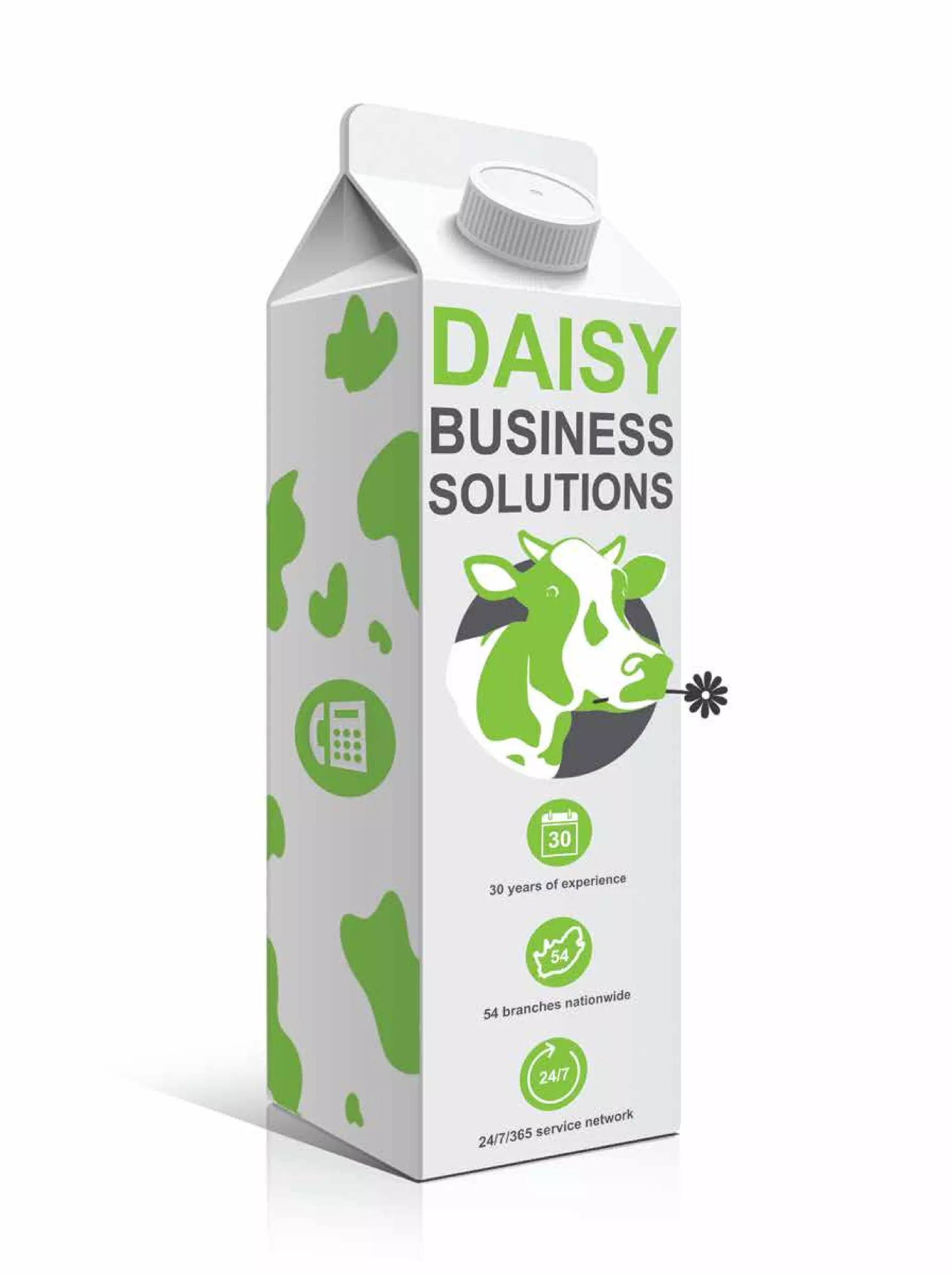Daisy Business Solutions | PDF