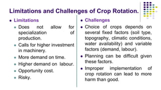 Crop Rotation | PPTX