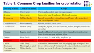 Crop Rotation | PPTX