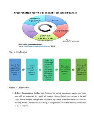 Crop Rotation | PDF