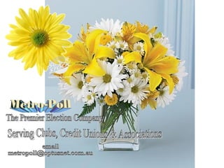Daisy Petal Pickin | PPT