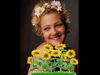 Daisy Petal Pickin | PPT