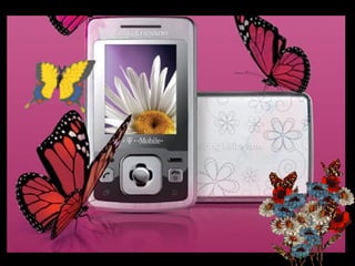 Daisy Petal Pickin | PPT