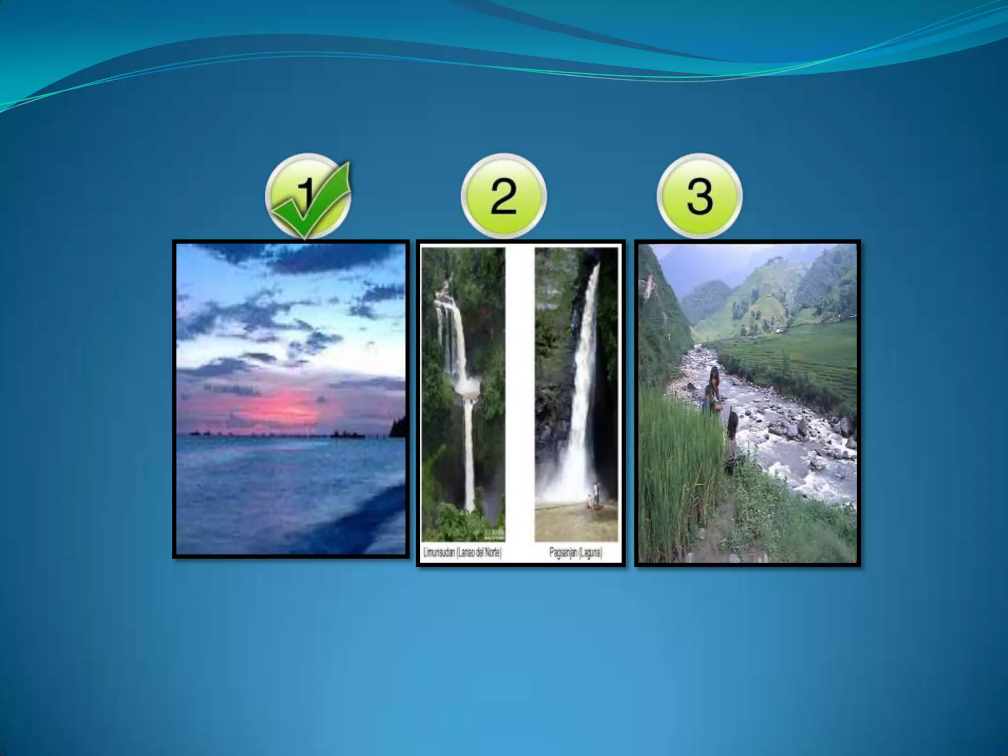 Daisy powerpoint | PPTX