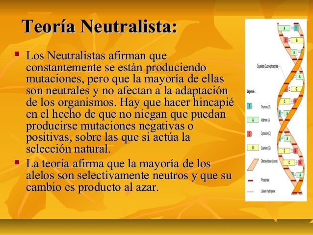Ejemplos De Neutralismo Biologico Bolzano Untitled