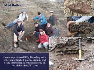 "Dakota"" The preparation of a mummified dinosaur | PPT