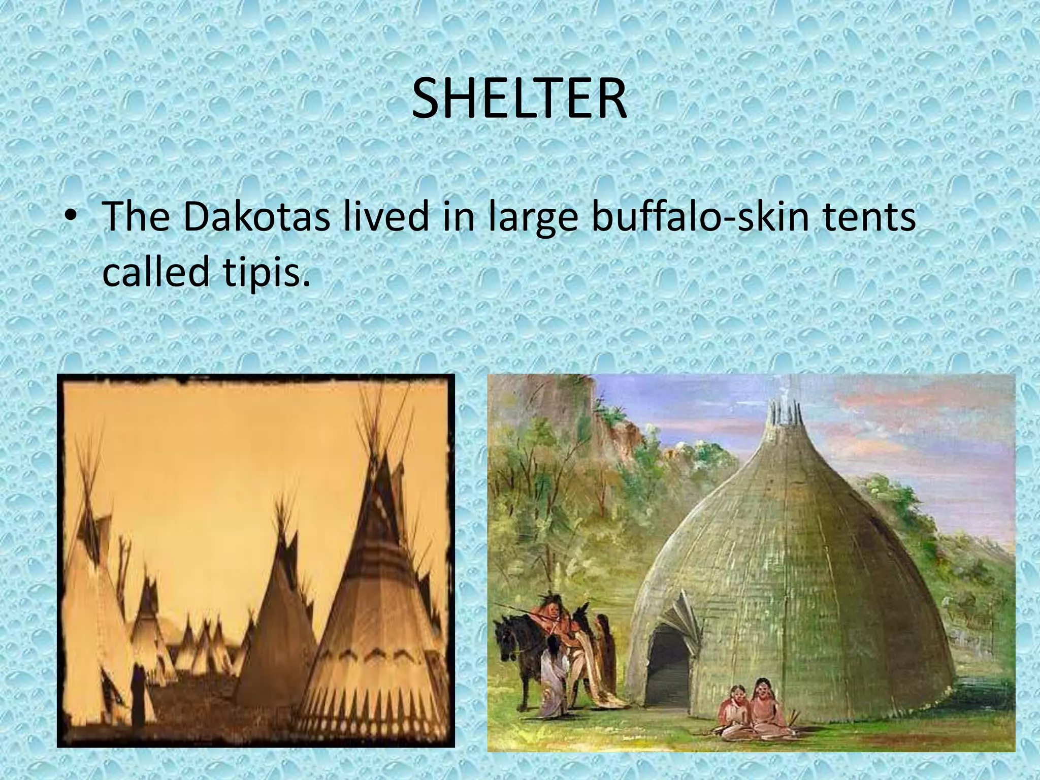 Dakota tribe | PPTX
