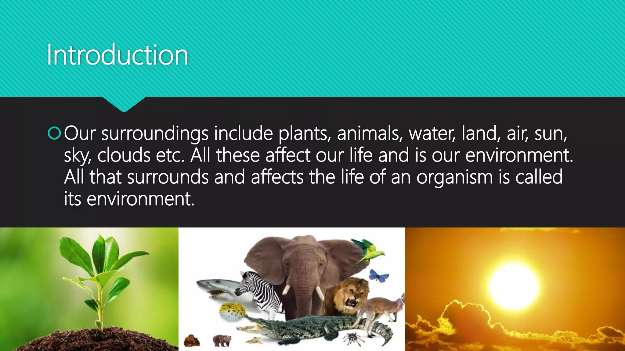 Daksh shandilya ppt our environment class 6 dav | PPTX