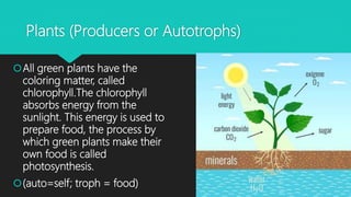Daksh shandilya ppt our environment class 6 dav | PPTX