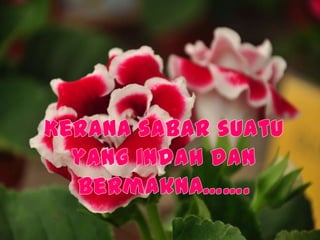 Sabar itu Indah | PPTX