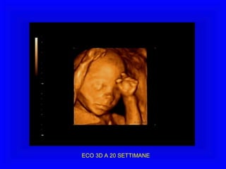 Dal concepimento alla nascita. | PPT