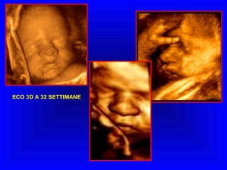 Dal concepimento alla nascita. | PPT