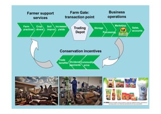Dale lewis-comaco-trees-4 food-and-fuel | PPT
