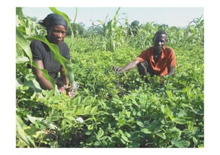 Dale lewis-comaco-trees-4 food-and-fuel | PPT