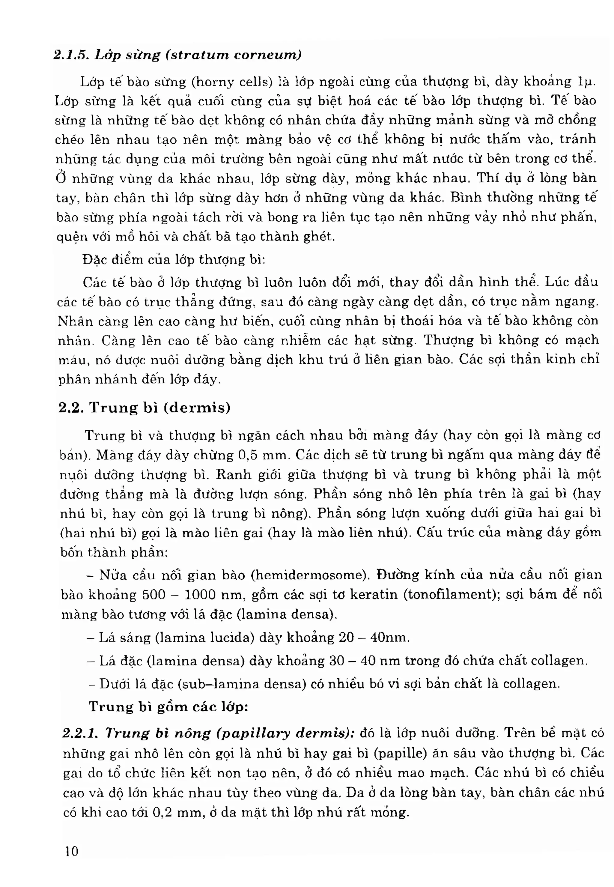 BỘ Y TẾ - DA LIỄU HỌC | PDF