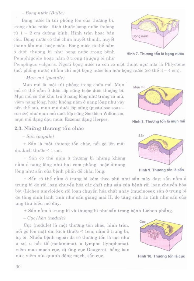 BỘ Y TẾ - DA LIỄU HỌC | PDF