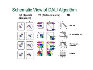 Distance-matrix ALIgnment METHOD.pptx/pdf | PPTX