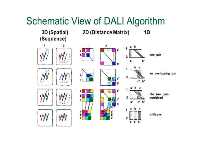Distance-matrix ALIgnment METHOD.pptx/pdf | PPT