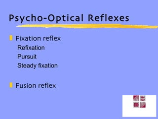 oculomotor reflexes | PPT