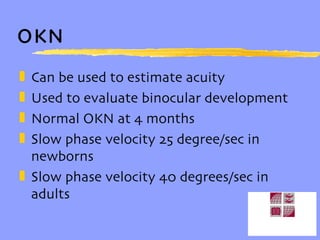 oculomotor reflexes | PPT