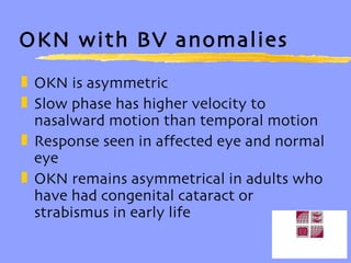 oculomotor reflexes | PPT