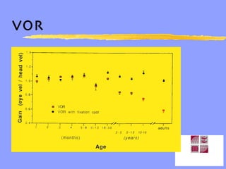 oculomotor reflexes | PPT