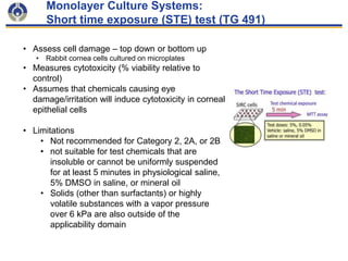 OECD Webinar | OECD Alternatives to in vivo eye irritation testing ...