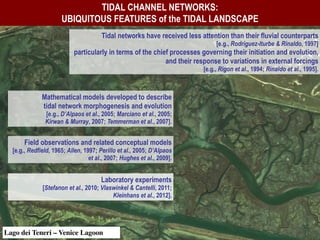 Tidal networks geomorphology | PPT