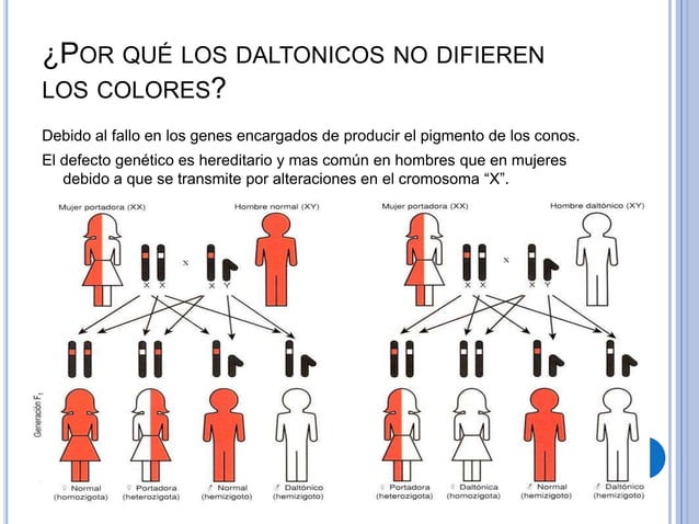 Daltonismo | PPTX