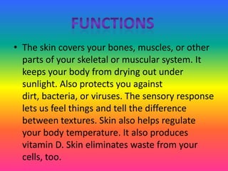 Integumentary System | PPT