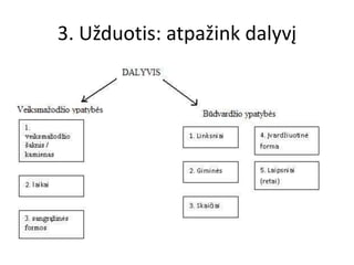 Dalyvis | PPT