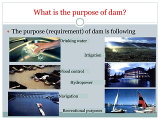 DAMS | PDF