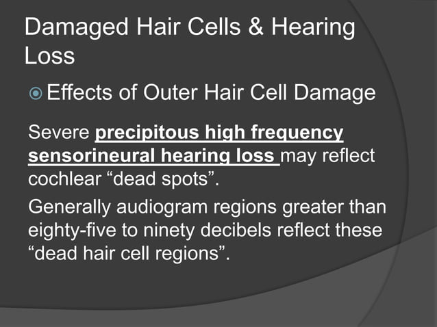 Damaged hair cells & hearing loss | PPT