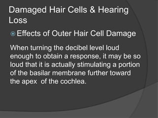 Damaged Cochlear Hair Cells