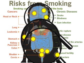 Damage of smoking | PPT