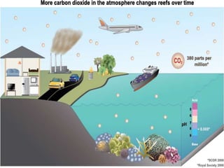 Damage to ecosystem | PPTX | Environment | Science
