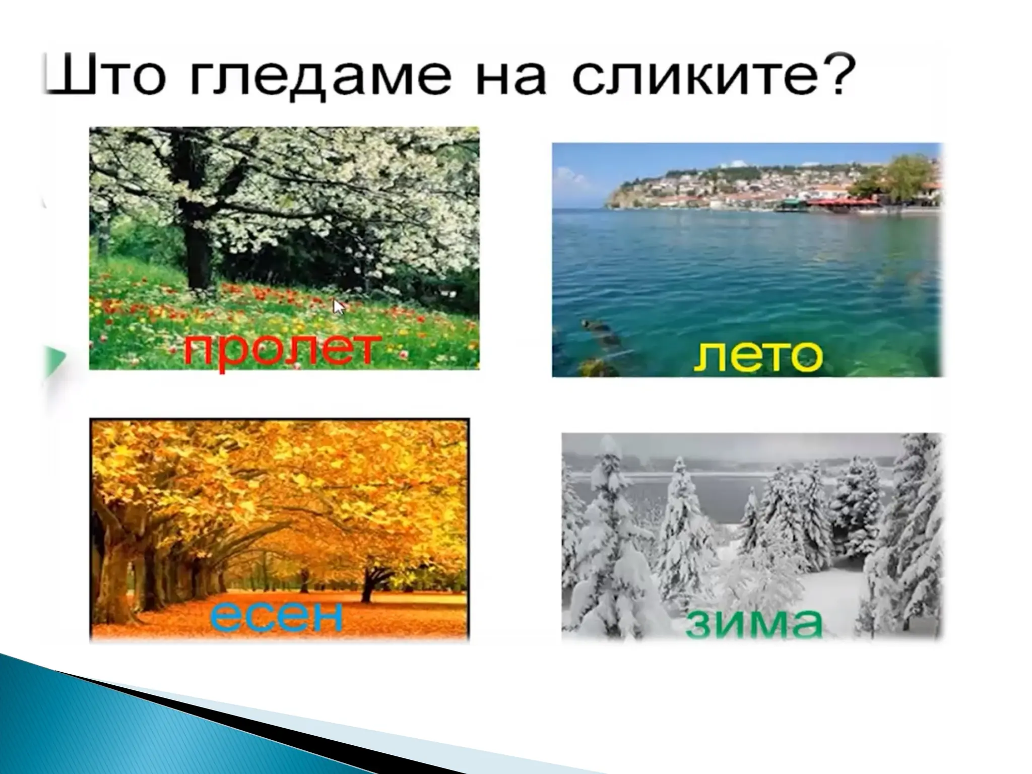 DA makedonski jazik najveseloto drvo.ppt