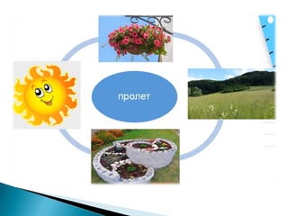 DA makedonski jazik najveseloto drvo.ppt