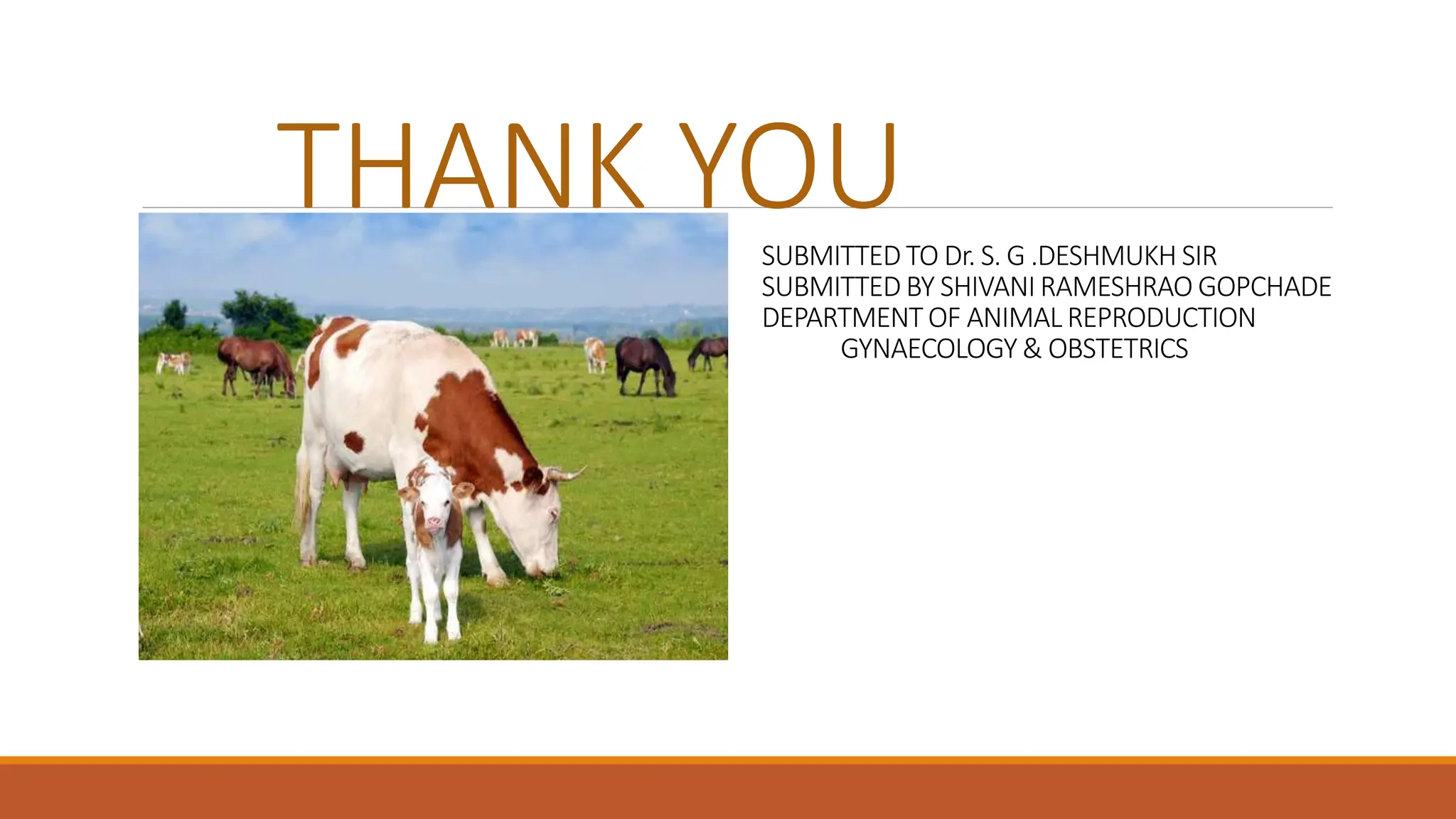 dam and newborn care from veterinay obstetrics farm animal .pptx | Pregnancy | Reproductive Health