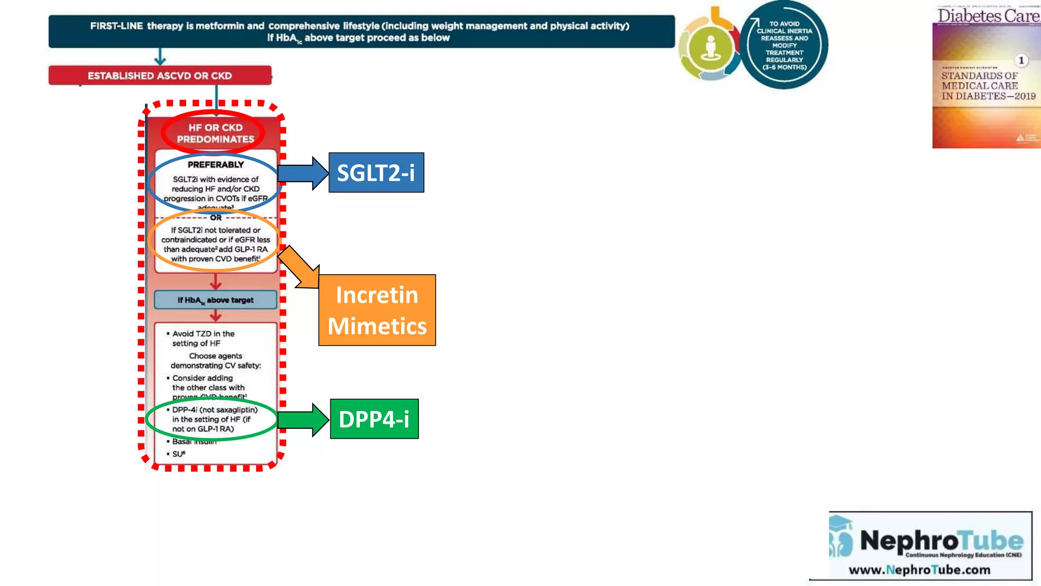 SGLT2-i, DPP4-i & Incretin Mimetics (Optimizing their use in CKD Patients) - Dr. Gawad | PPTX