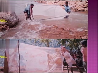 daman movie case study.pptx