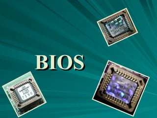 Damaris gonzalez lucio 5e bios | PDF